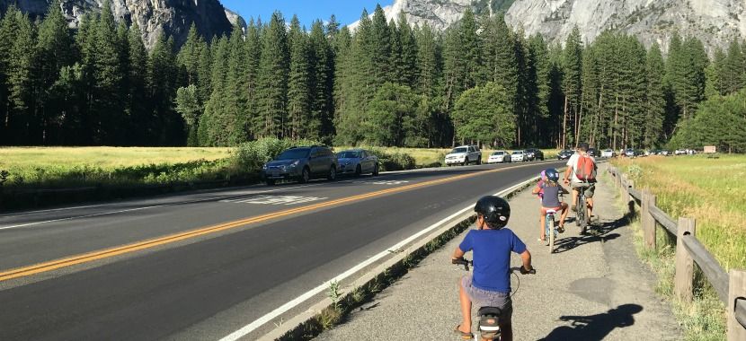 Lessons from bumps in the road trip