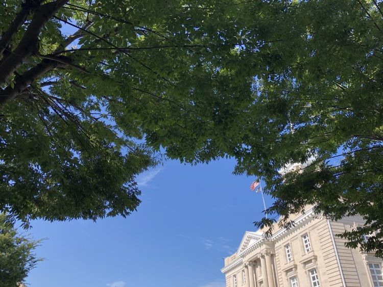 I Love This Place: Columbia, Tennessee