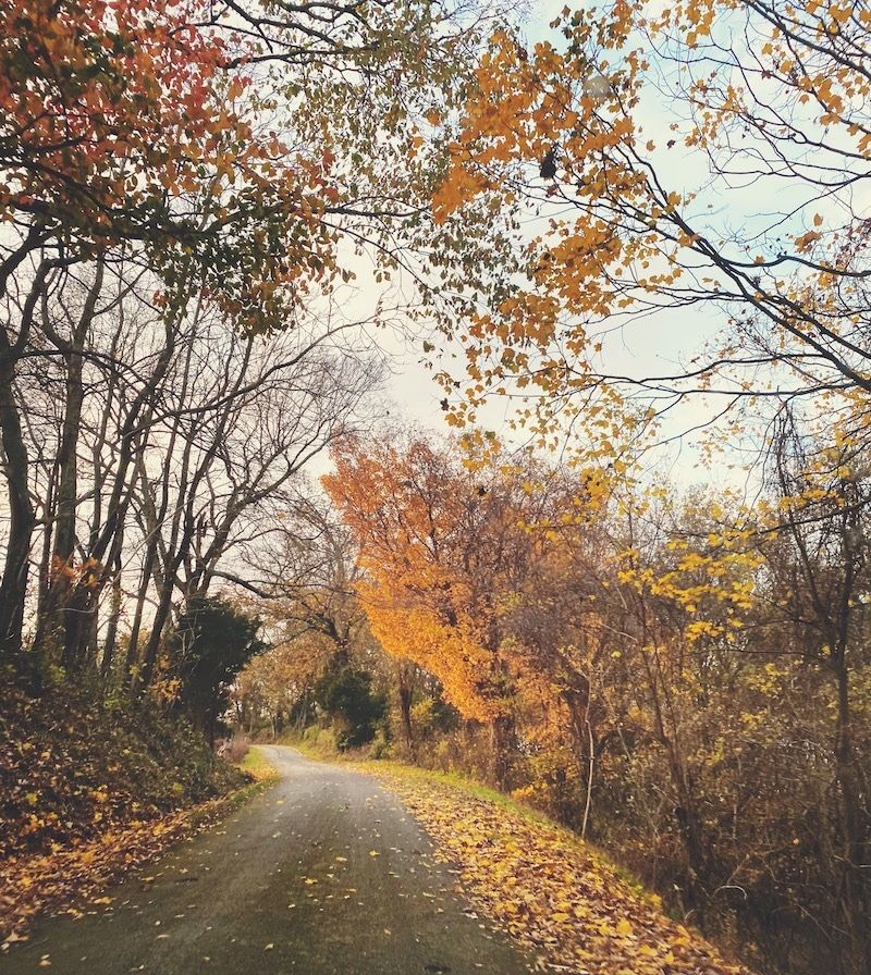 Christine Bailey - The Art of Simple