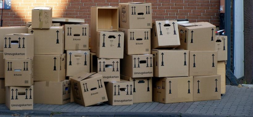 To Keep or to Purge, That is the Question